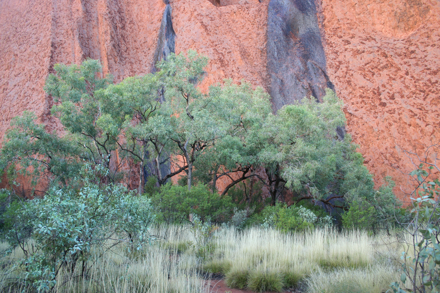 Uluru / Kata Tjuta National Park