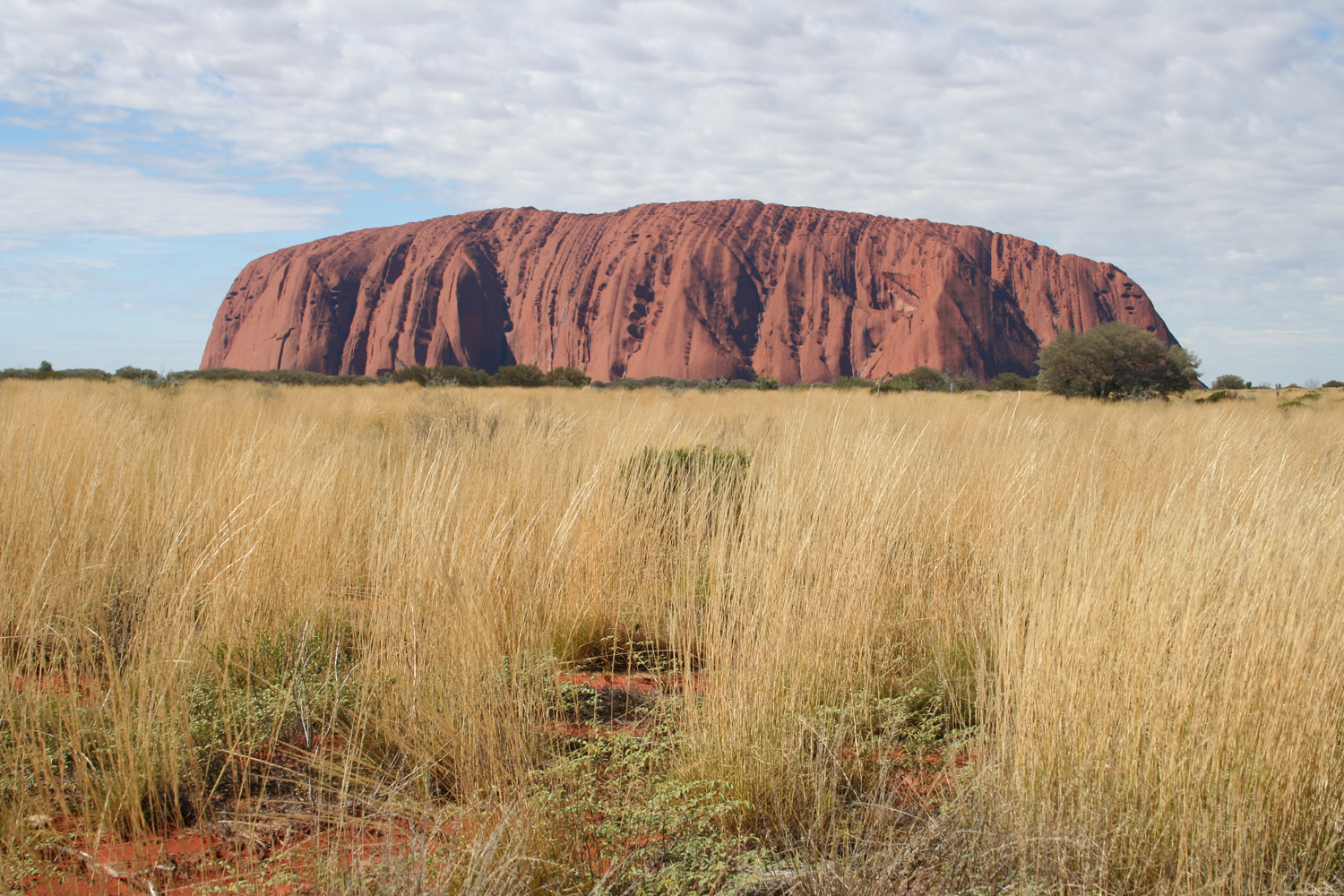 Uluru / Kata Tjuta National Park