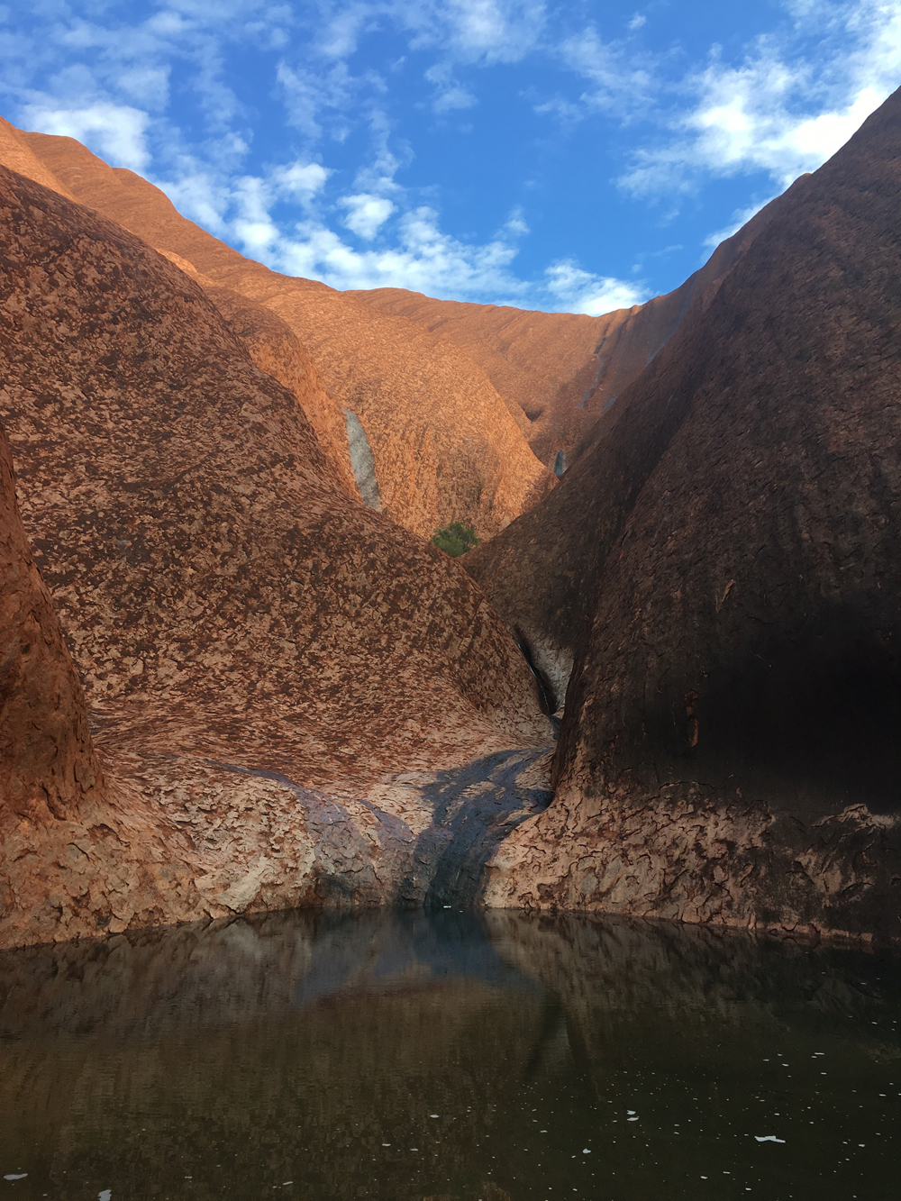 Uluru / Kata Tjuta National Park